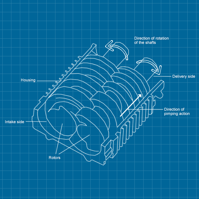 Leybold SCREWLINE SP 250 Dry Screw Vacuum Pump - REBUILT